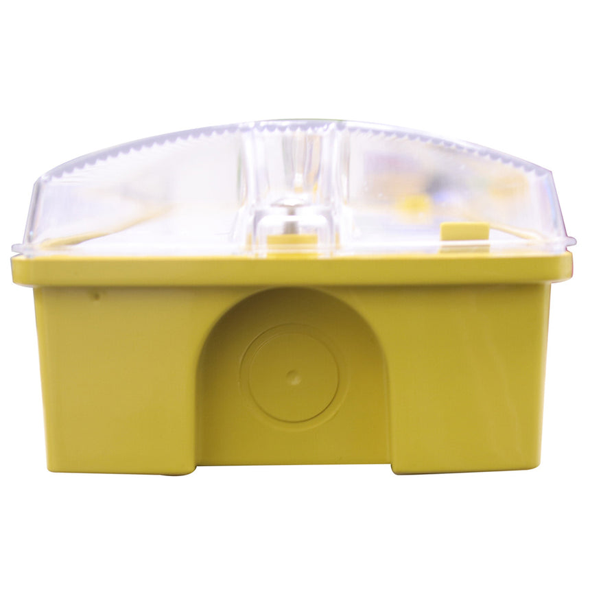 APEX 110V Rectangle Fire Exit Bulkhead Light Fitting | 3hr Emergency ...