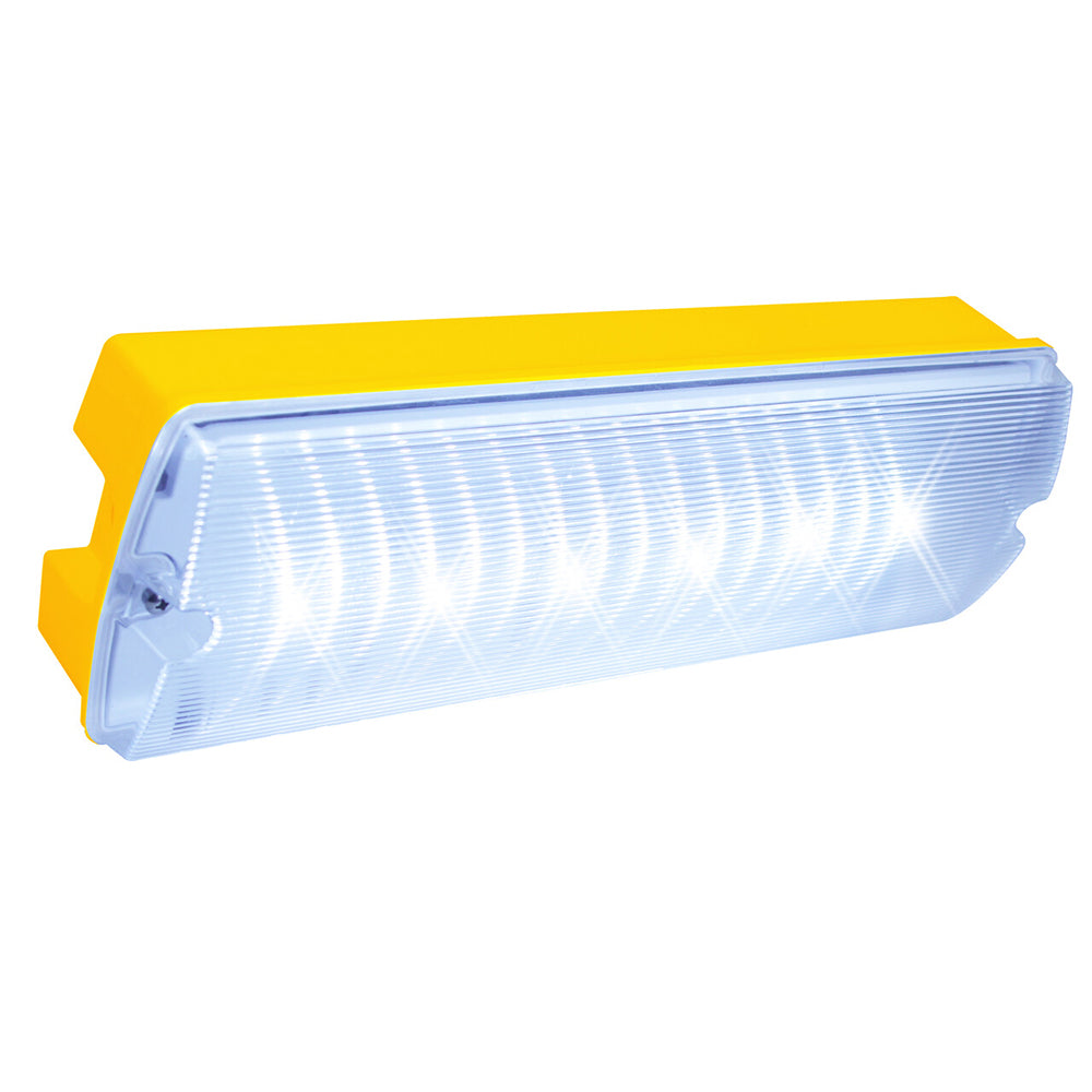 APEX 110V Rectangle Fire Exit Bulkhead Light Fitting | 3hr Emergency ...
