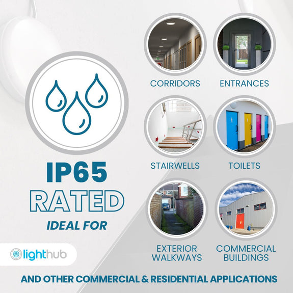 Eyelid Lights | LED Eyelid Bulkhead Lighting | LightHub Direct