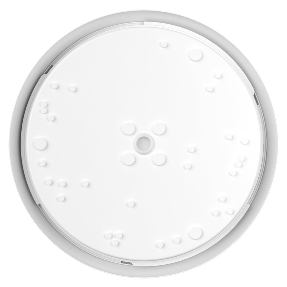 Eyelid Lights | LED Eyelid Bulkhead Lighting | LightHub Direct