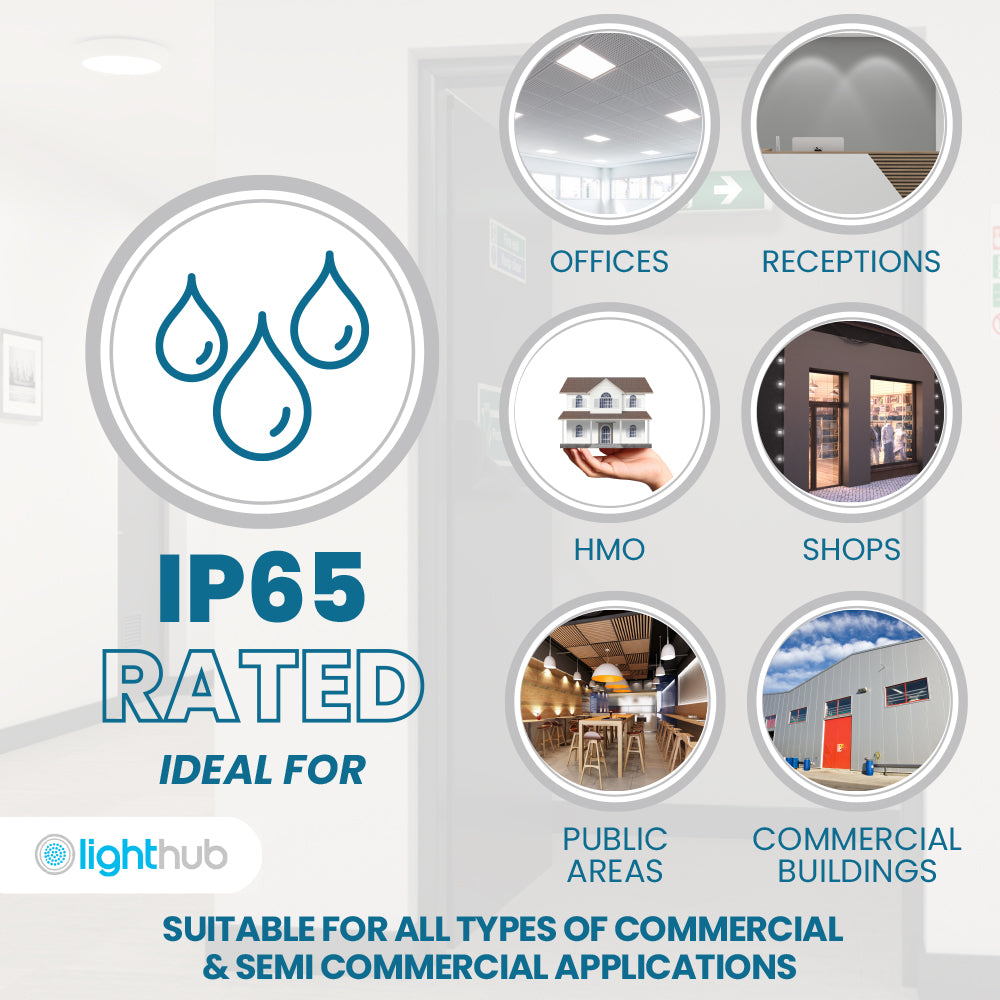 Bulkhead Lights | Indoor & Outdoor LED Bulkhead Lighting – LightHub Direct