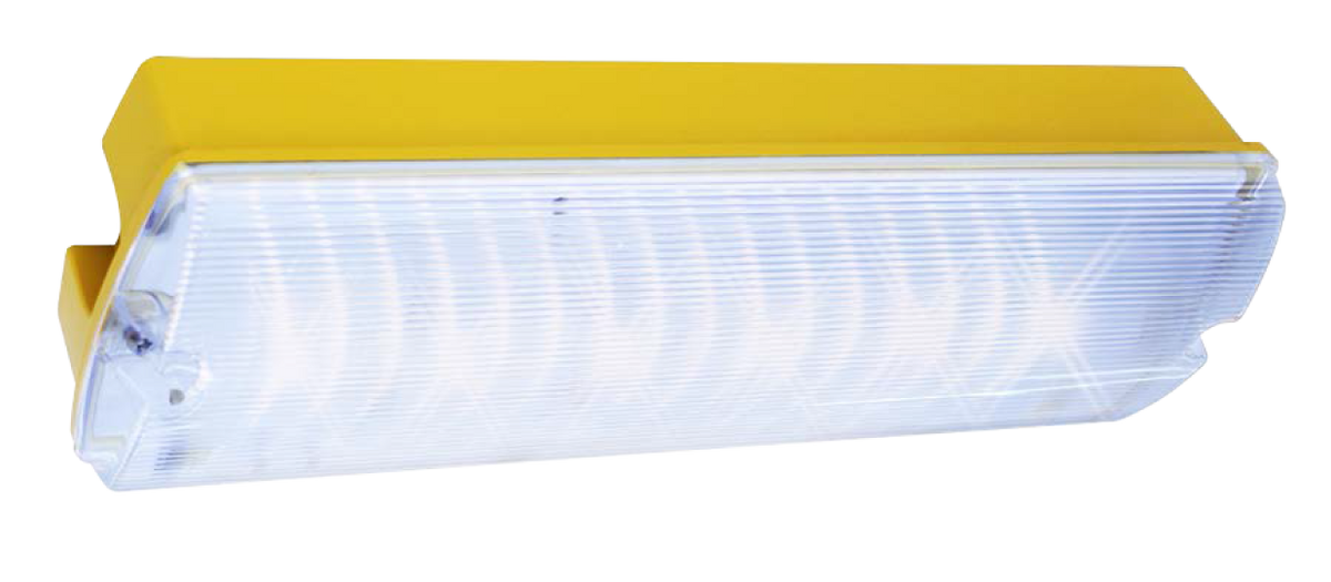 APEX 110V Rectangle Fire Exit Bulkhead Light Fitting | 3hr Emergency ...