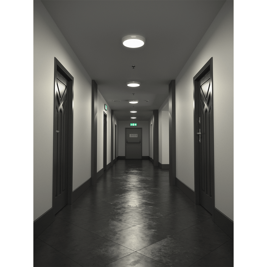 EUSTON 14W CCT LED Slim Bulkhead Light Fitting | In Stock Now– LightHub ...